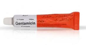 Gentamicin Topical: Uses - Side Effects - Warnings - Med Review Hub
