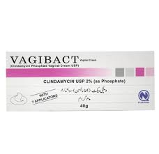 Clindamycin Vaginal: Uses - Side Effects - Warnings - Med Review Hub